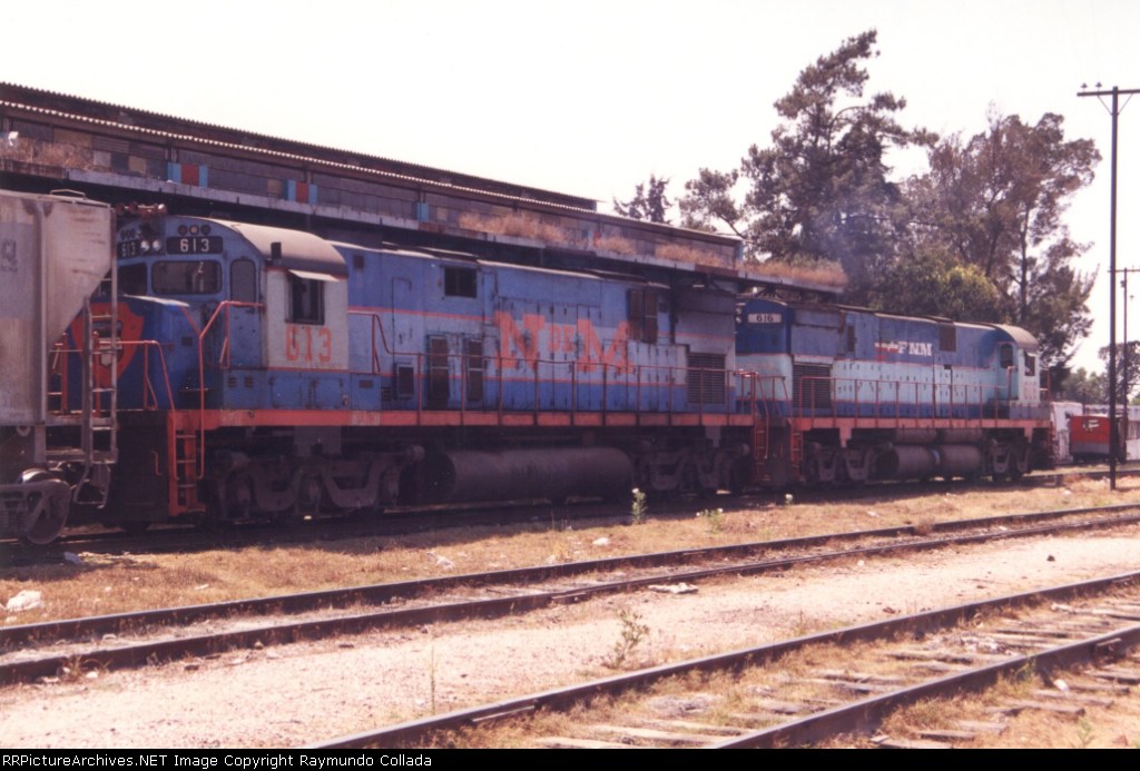 NDEM 613 and FNM 616 in the yard